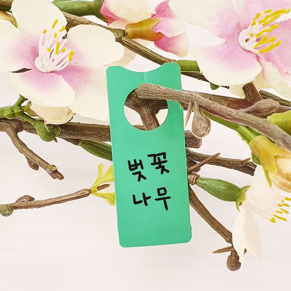 다온이야 식물이름표 꽃이름표 SELLFRE 1395 식물 줄기 컬러 네임택 100p 식물라벨 가든픽 화분이름표 위시버킷