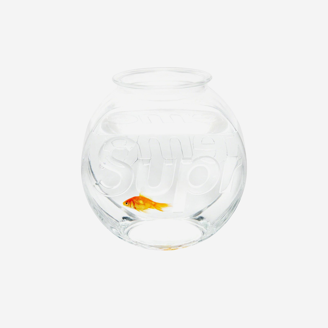 슈프림 Supreme Fish Bowl - 20FW - 위시버킷