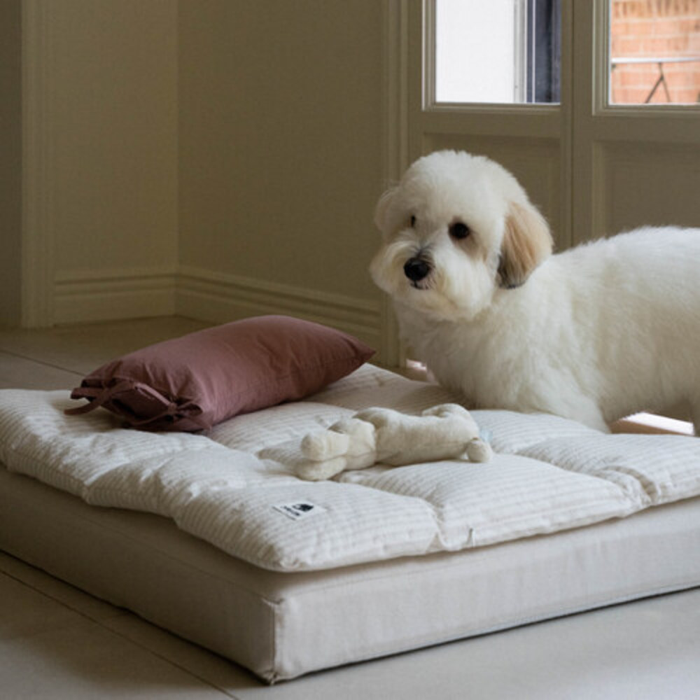 아우스리푸 Square Bedding Set / Mallow Pink Stripe - 위시버킷