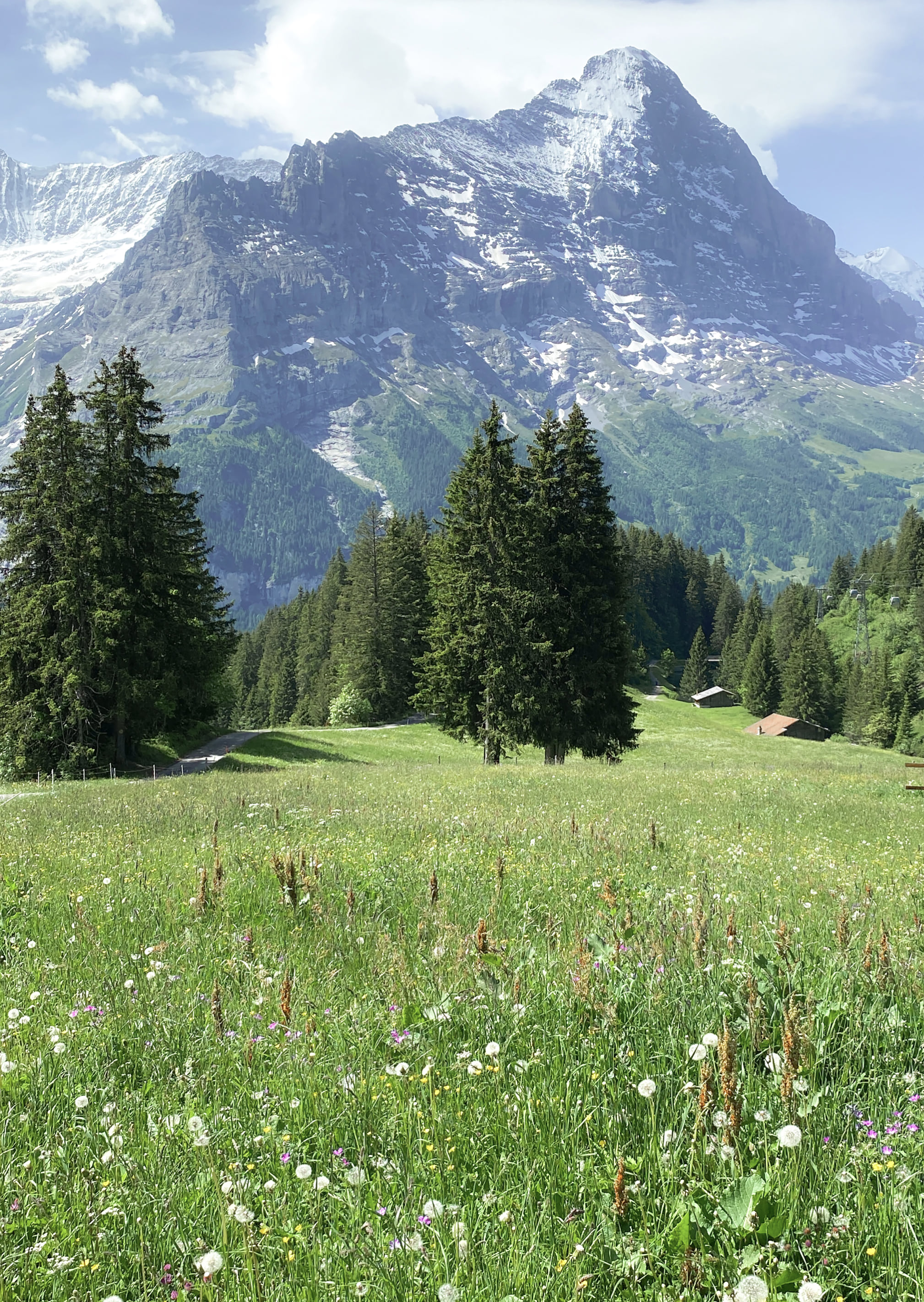 포스터샵 [New] Grindelwald #1 - 위시버킷