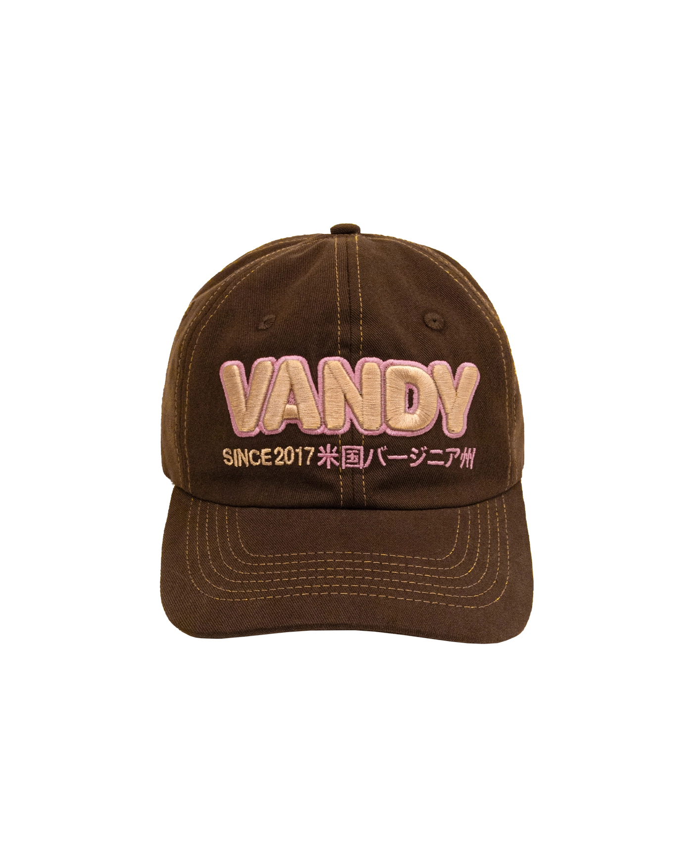 반디더핑크 VANDY THE PINK BASIC LOGO BALL CAP - 위시버킷