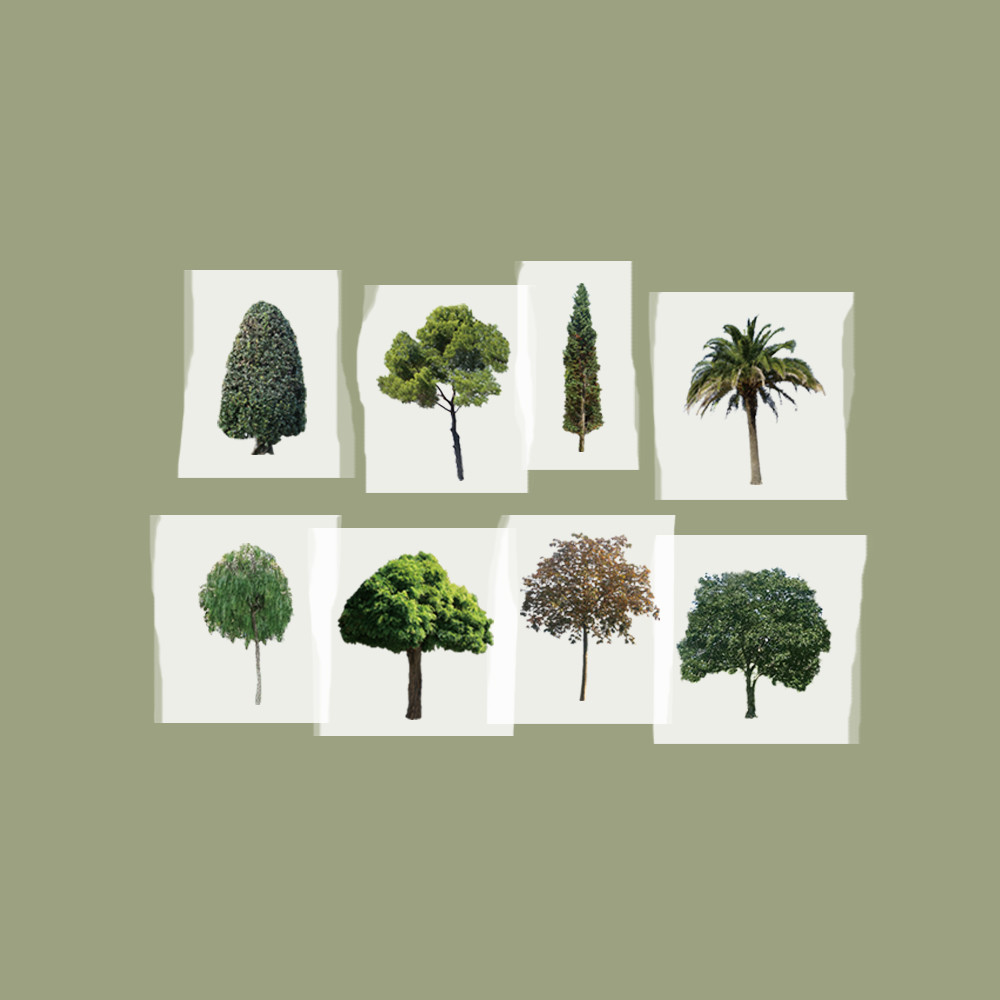 자그네 the tree masking tape / 나무 마스킹 테이프 - 위시버킷