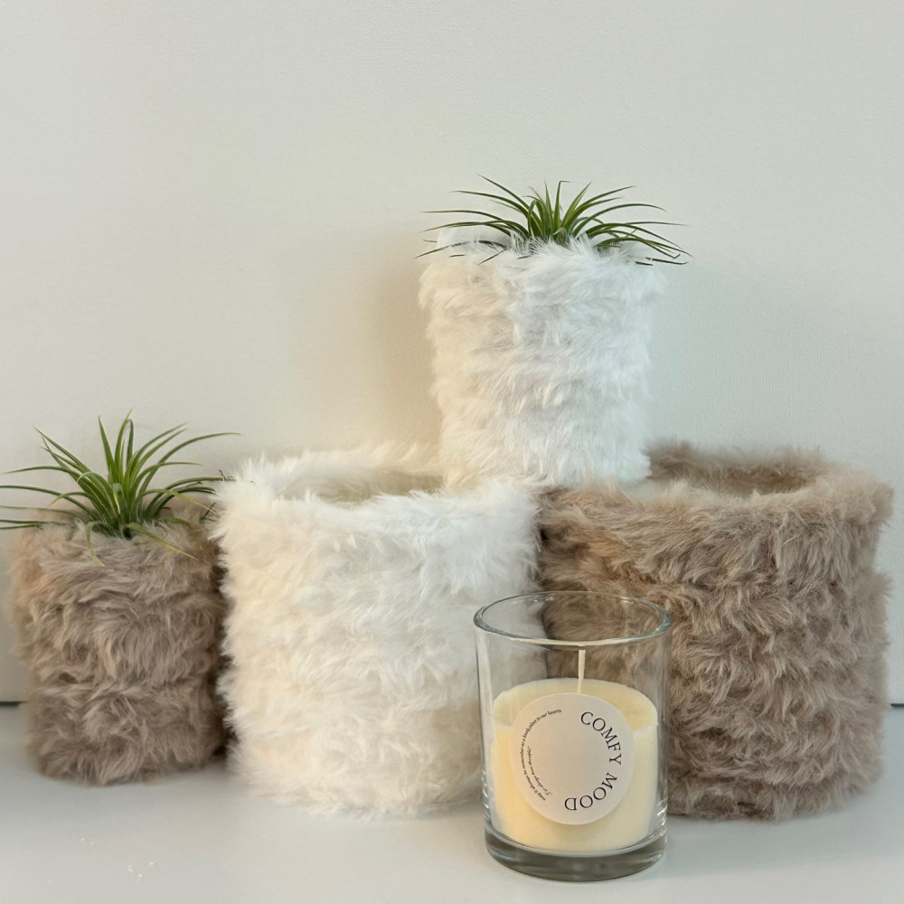 컴피무드 FUR POT | 퍼팟 오브제팟 이오난사 공기정화식물 플랜테리어 - 위시버킷