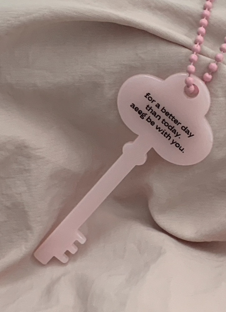 에이그 AEEG pink key ring - 위시버킷