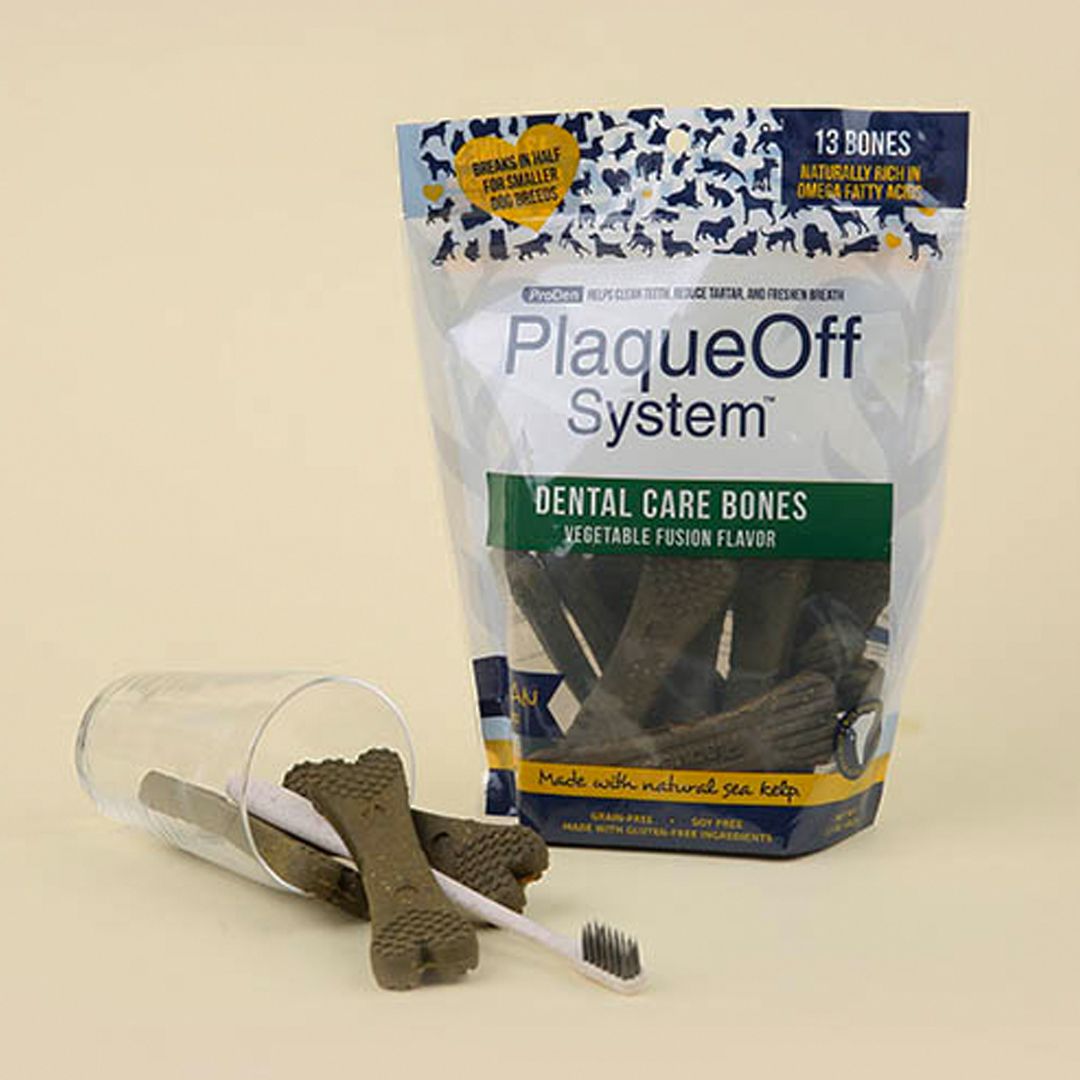 프로덴 프로덴 독 플라그오프 덴탈케어본 혼합야채 482g - 위시버킷