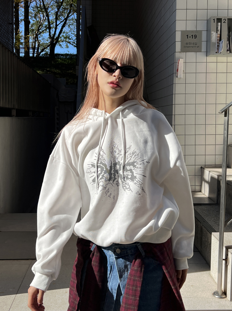 아케 [안감기모] DNRS HOODY (4color!) - 위시버킷