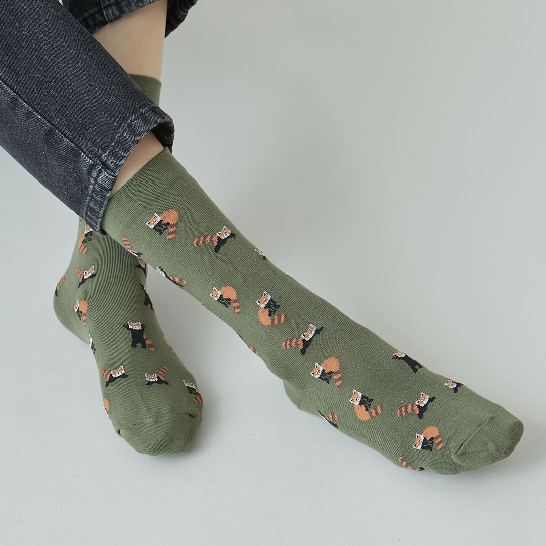 삭스타즈 GCT015 lesser panda: khaki - 위시버킷