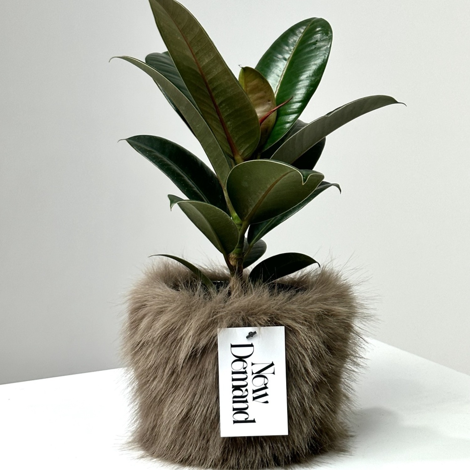 뉴디맨드 Short fur pot (Sandy Brown) - 위시버킷