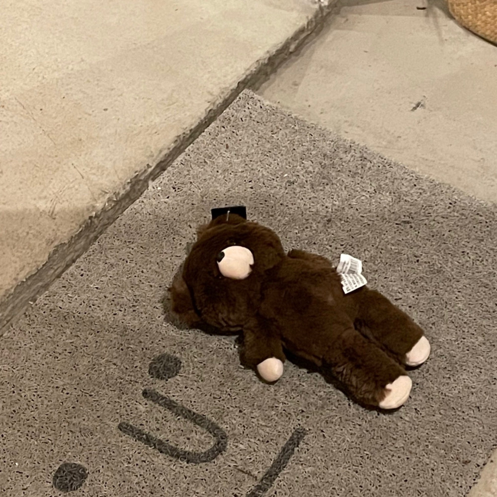 윌비 WILL B WB Weak Bear 허약 곰인형 - 위시버킷