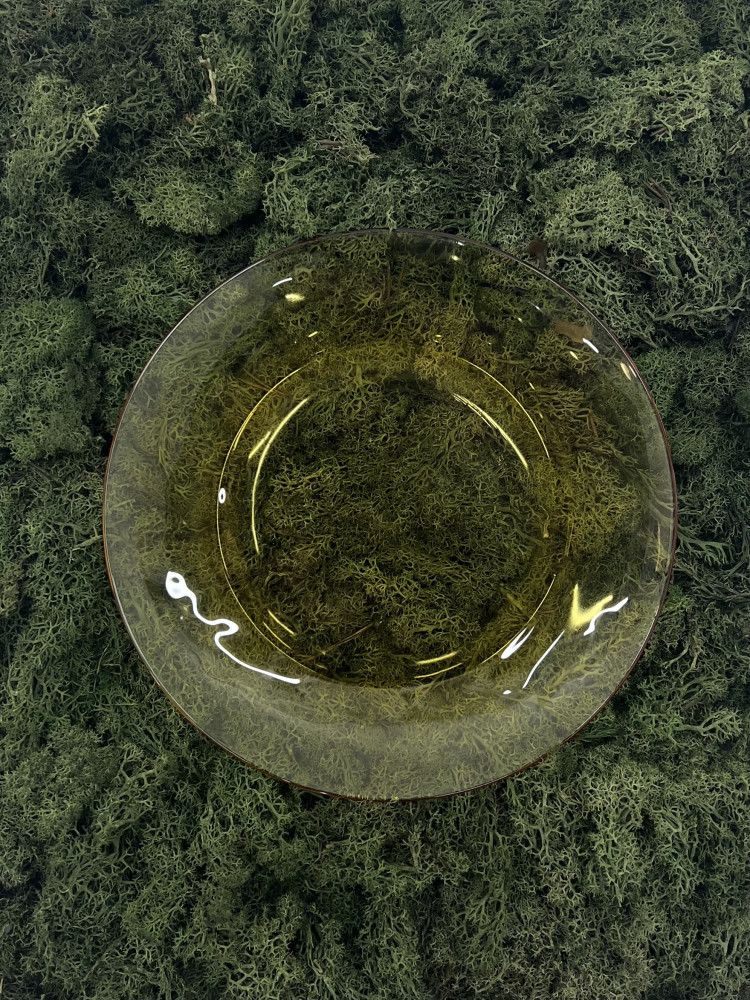 FFF yellow glass plate - 위시버킷