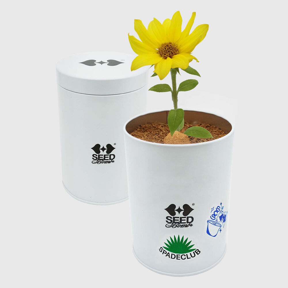 스페이드클럽서울 SCS Seed Bomb Kit - Sunflower 해바라기 씨드밤 키트 SSLGXX332Y2 - 위시버킷