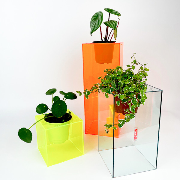 앱톤 APTONE Patom - 위시버킷