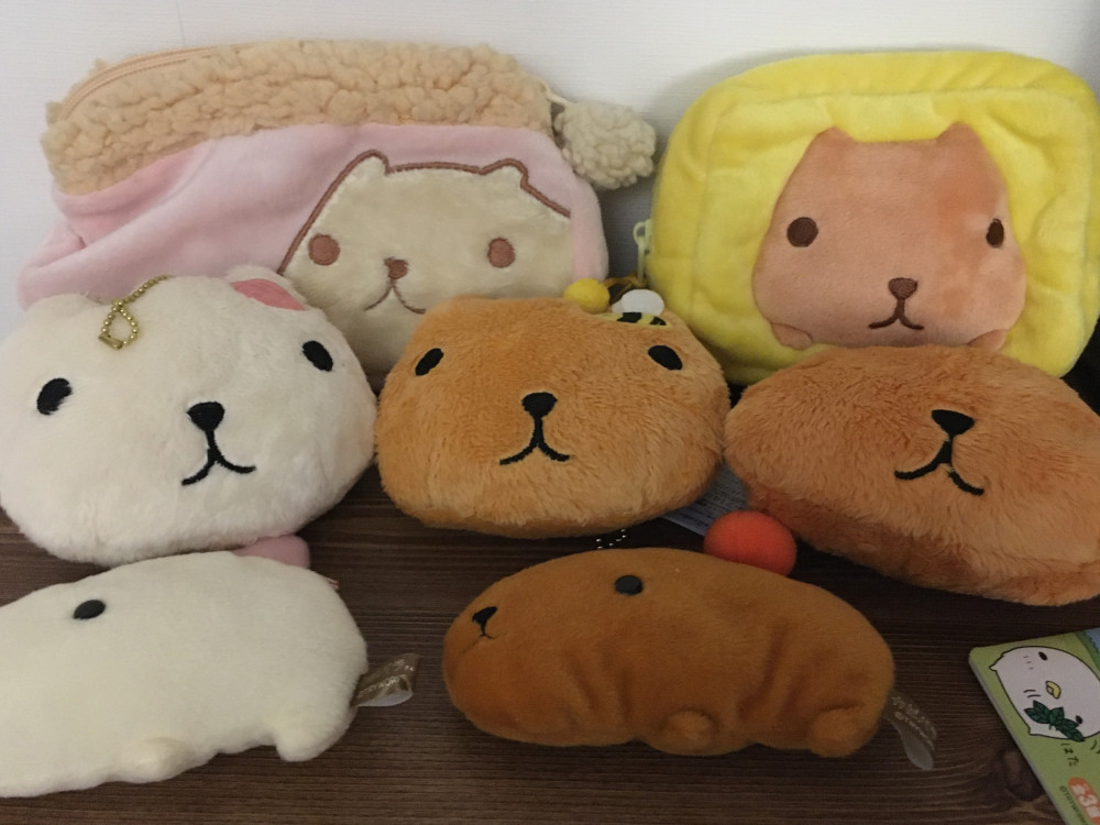 한여름 붕어빵 카피바라상 파우치 & 동전지갑 모음 - 위시버킷