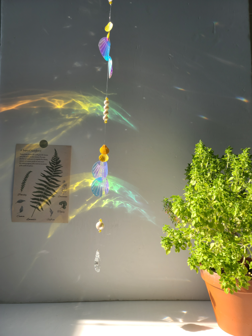 앨리스 아뜰리에 내방으로 들어온 윤슬 썬캐쳐(3type) - 위시버킷