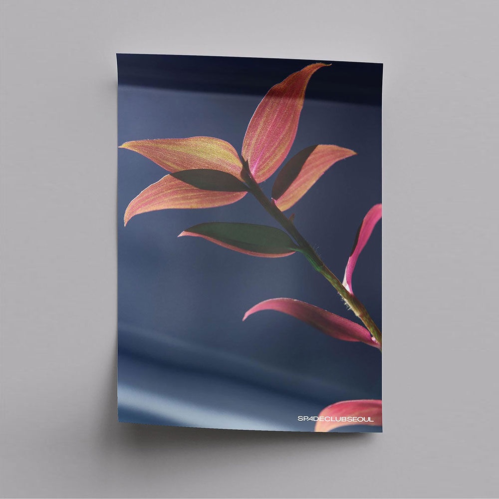 스페이드클럽서울 SCS Red Leaf Poster 레드 리프 포스터 SSLGXX124N3 - 위시버킷