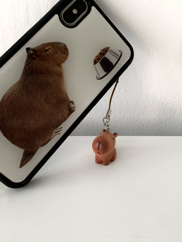 어센틱 (7type) capybara key ring 카피바라 키링 후로킹 에어팟 핸드폰 줄 - 위시버킷