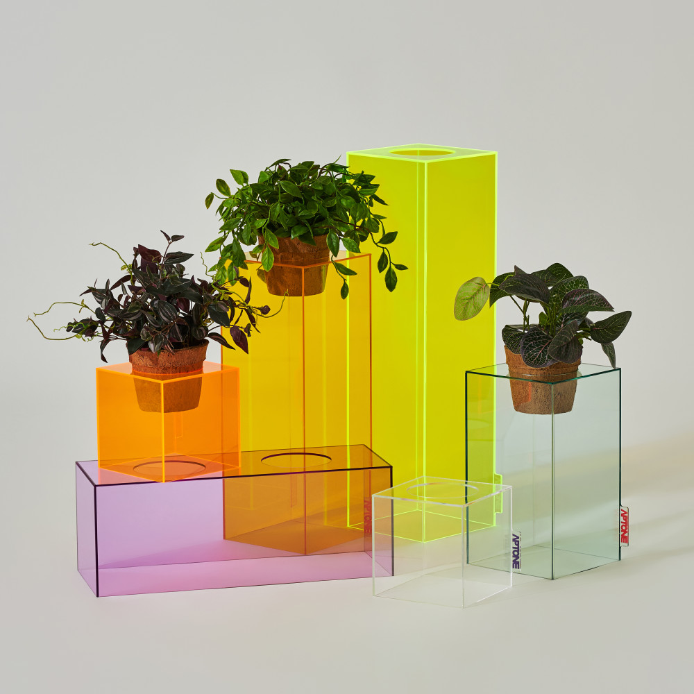 앱톤 APTONE [앱톤] 파톰 - 화분꽂이 - 위시버킷