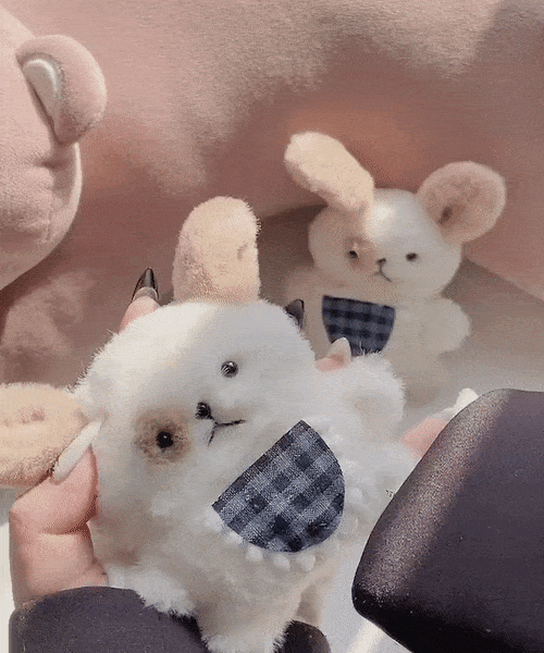 나인틴프라이데이 🚀당일출고 에어팟 케이스 강아지 플리스 후리스 에어팟1 에어팟2 에어팟3 프로 1세대 2세대 3세대 귀여운 이쁜 예쁜 친구 가족 지인 생일 선물 우정 커플