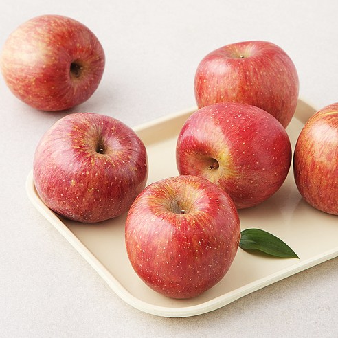 곰곰 곰곰 GAP 경북 사과, 1.5kg (6~8..., 1개 - 위시버킷