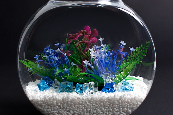 올블루 풀세팅 투명 플라스틱 어항 BG-210 금붕어 구피어항 - 위시버킷