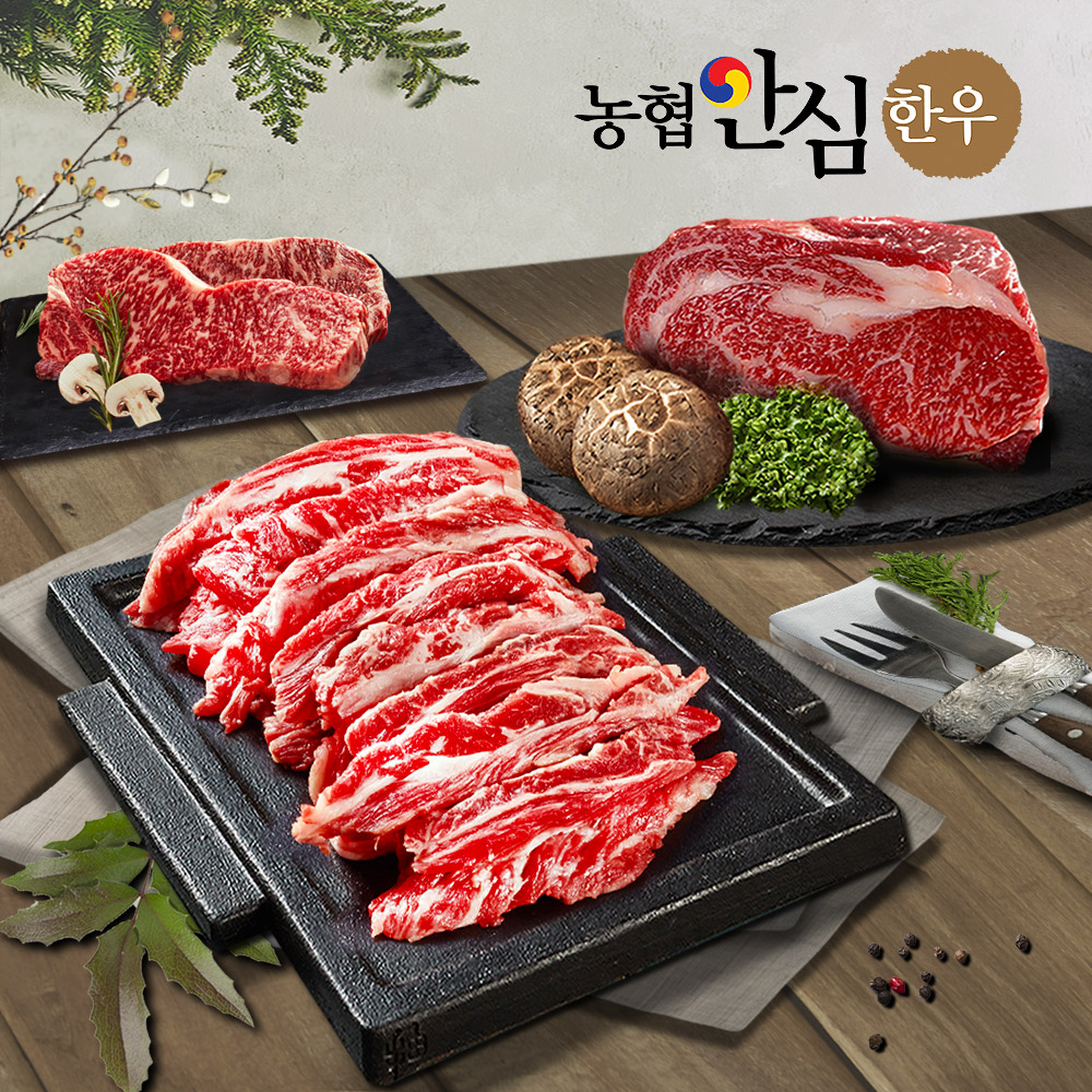 농협안심한우 농협안심한우 1등급 '구이의 정석' 세트 600g(갈비살300g+등심300g or 갈비살150g+채끝150g+등심300g) - 위시버킷
