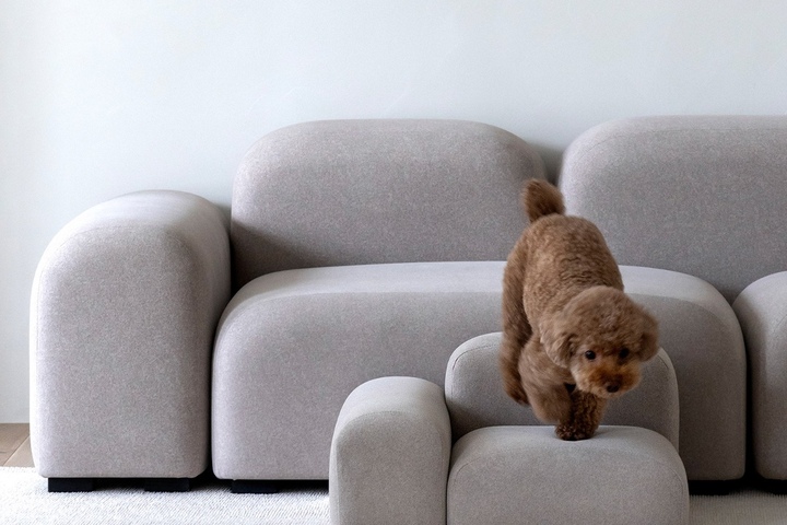 잭슨카멜레온 Pebble Pet Step - 위시버킷