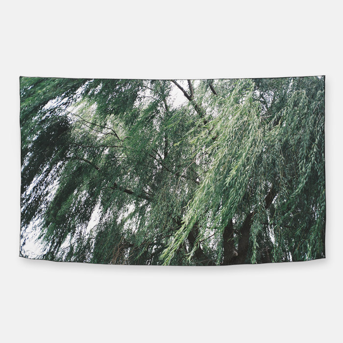 호크마킴 Dancing willow 쉬폰 패브릭 포스터 - 위시버킷