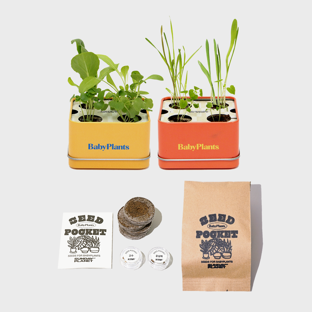 선데이플래닛47 [식물재배키트] BabyPlants + Seed pocket set - 위시버킷