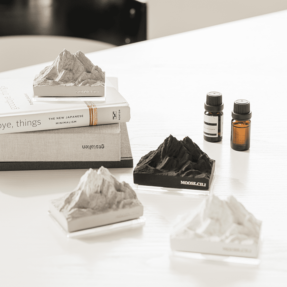 트렌데코 Everest St. Gypsum Diffuser - 위시버킷