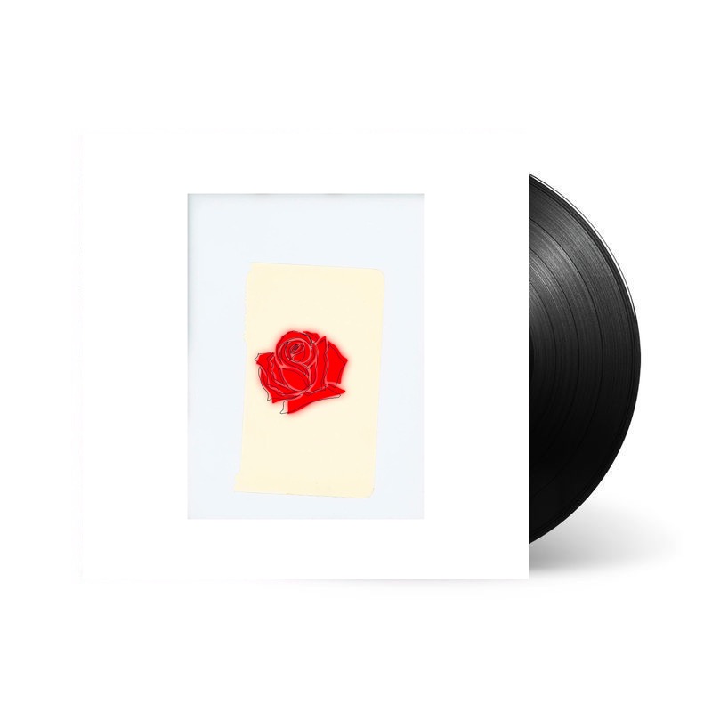 미드나잇스낵 LANY - LANY (Vinyl, 2LP, Gatefold) 레이니 LP - 위시버킷